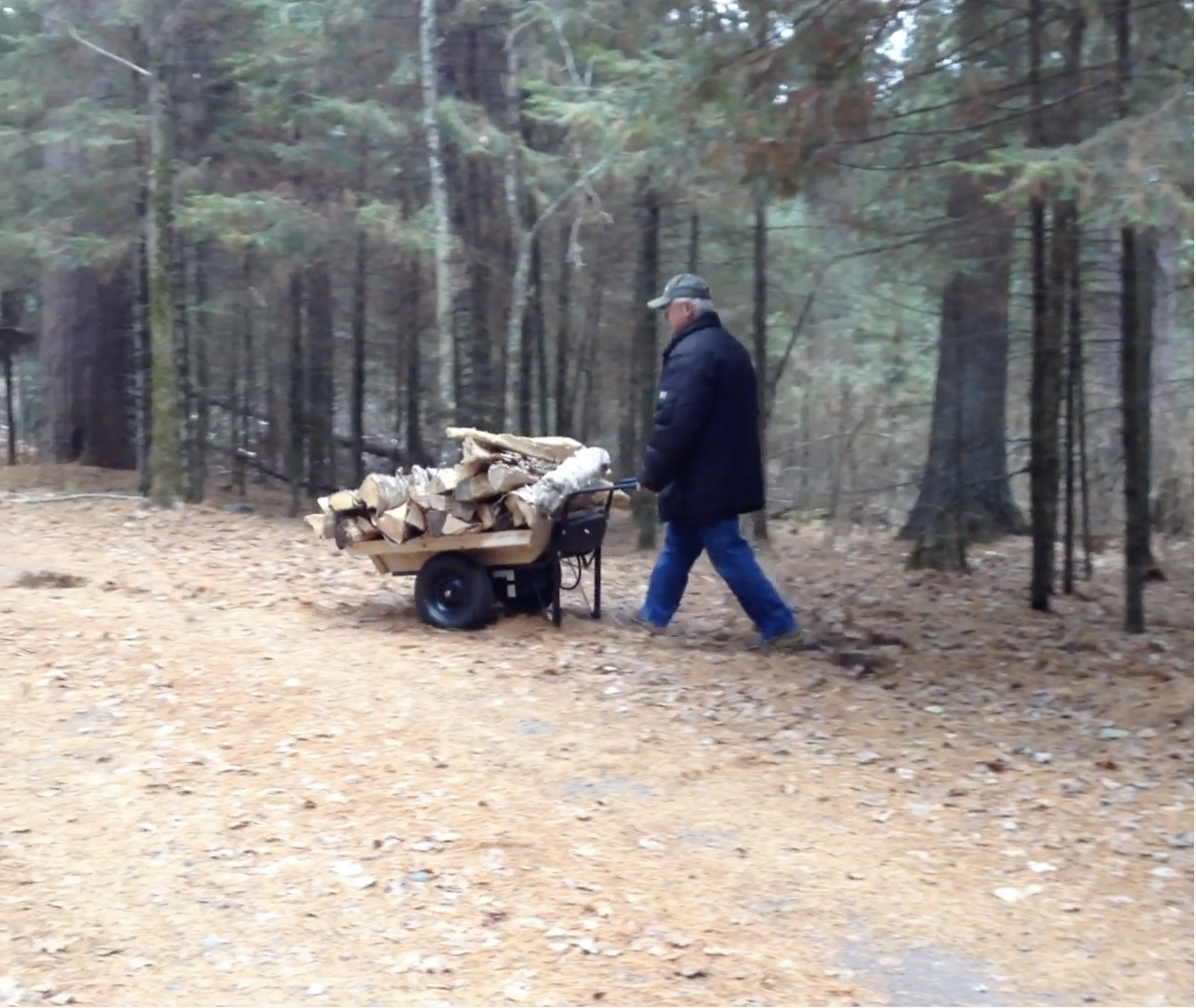 Homepage Chore Warrior Battery Powered Wheelbarrows